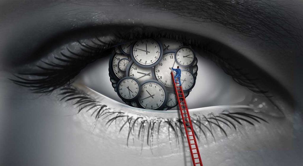 We’ve all got rhythm – internal clocks in plants, animals, and people ...