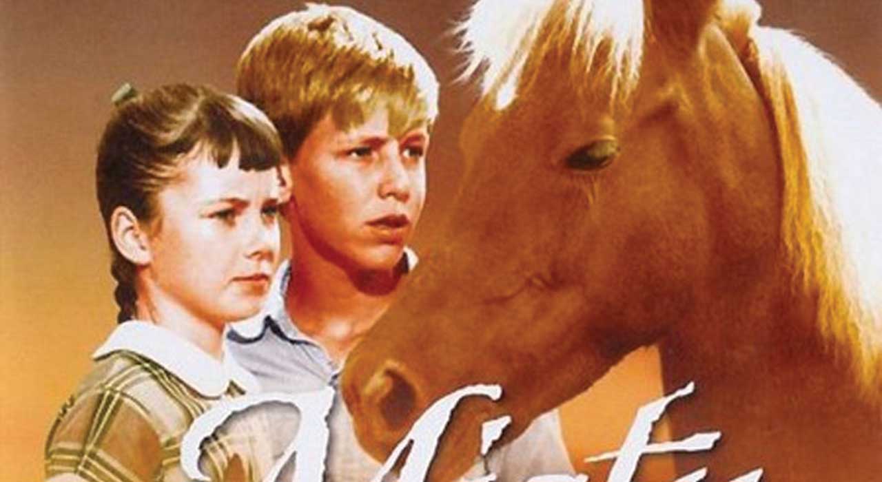 Misty | Reformed Perspective