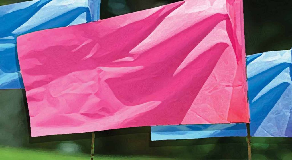 STAY ON MESSAGE: a lesson from the Chilliwack pro-life flag display ...