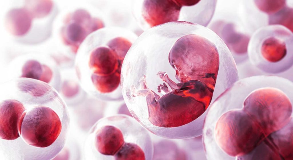 Genetically-engineered babies have now been born | Reformed Perspective