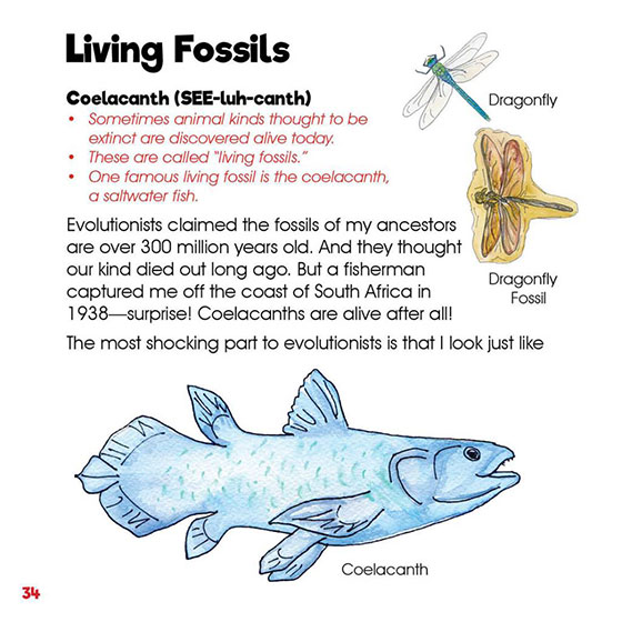 Animals by design: exploring unique creature features | Reformed ...