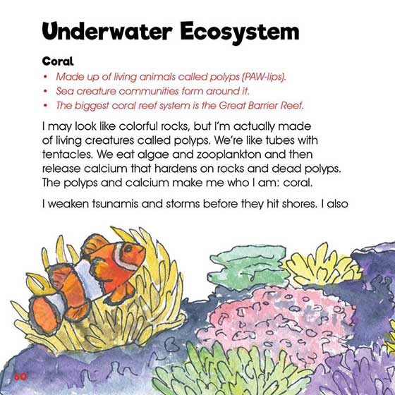 Animals by design: exploring unique creature features | Reformed ...