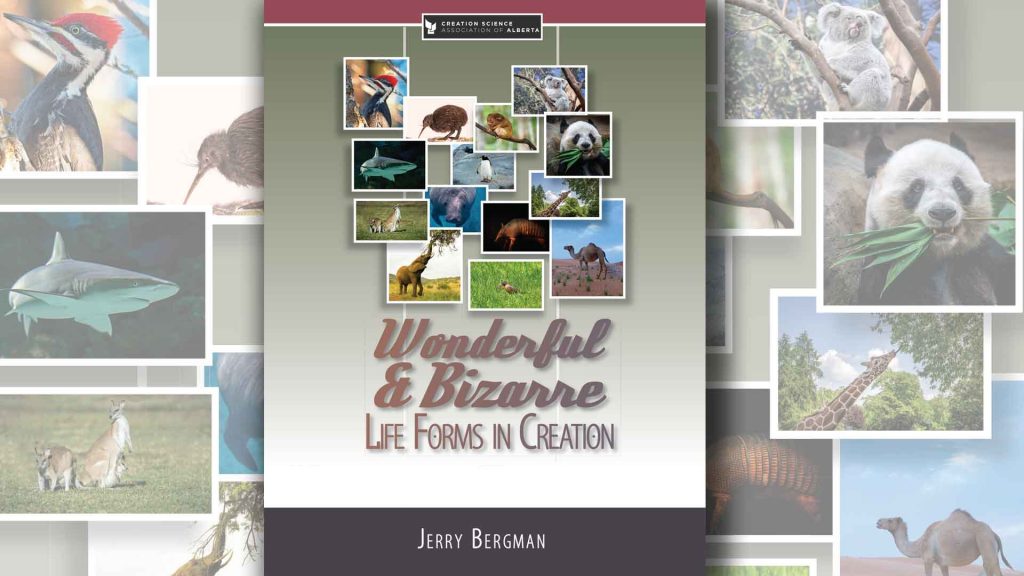 Wonderful & Bizarre Life Forms in Creation | Reformed Perspective