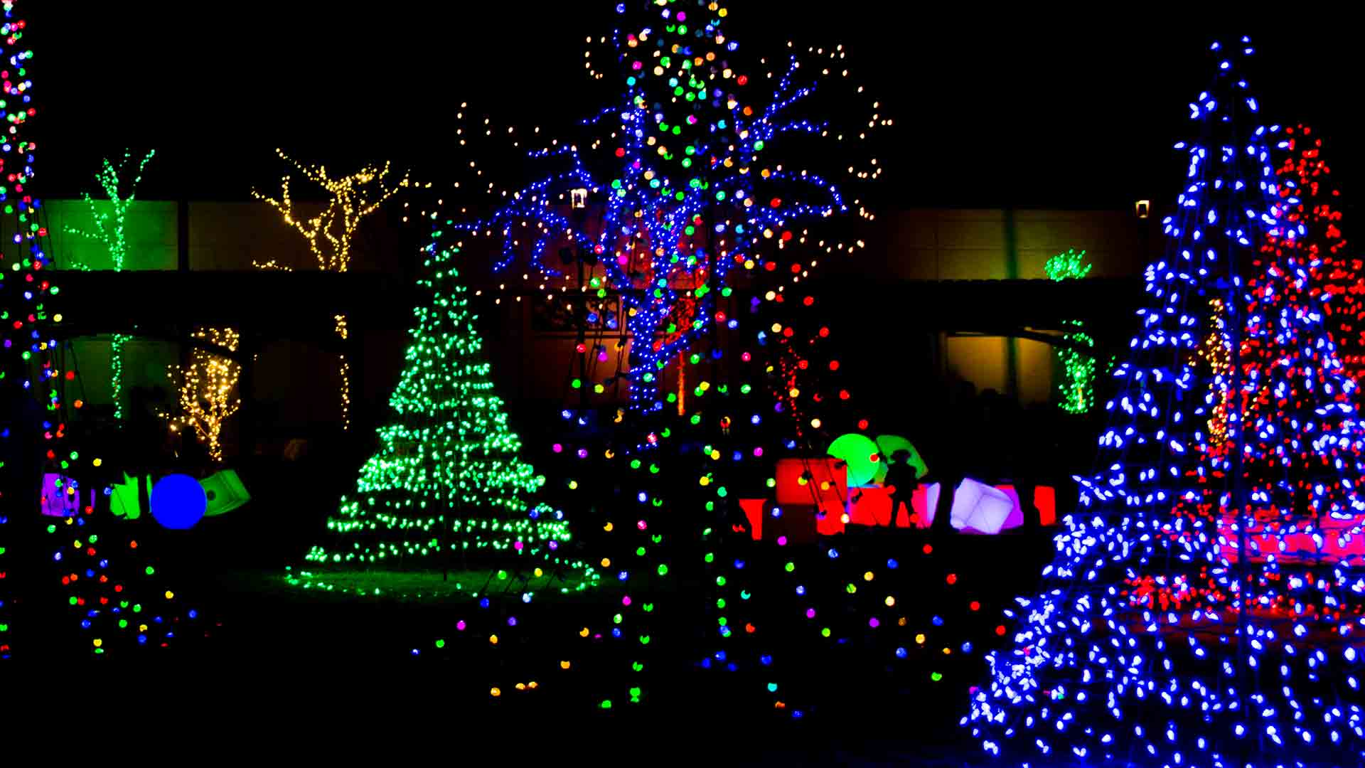 December 8 – Never too dark | Reformed Perspective