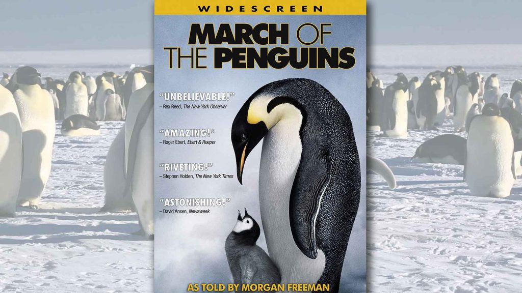 March of the Penguins | Reformed Perspective