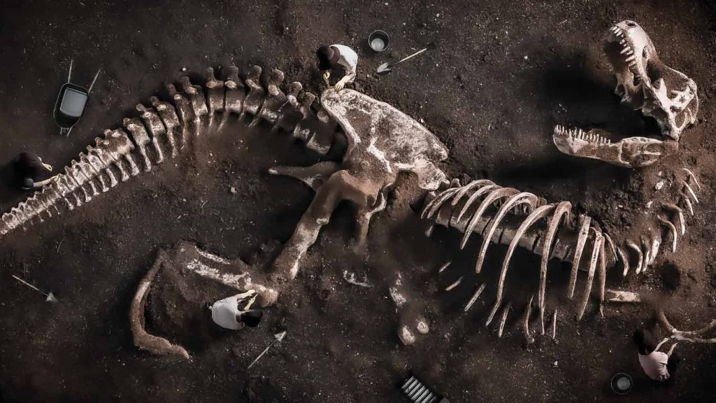 Dinosaurs and dead bodies | Reformed Perspective