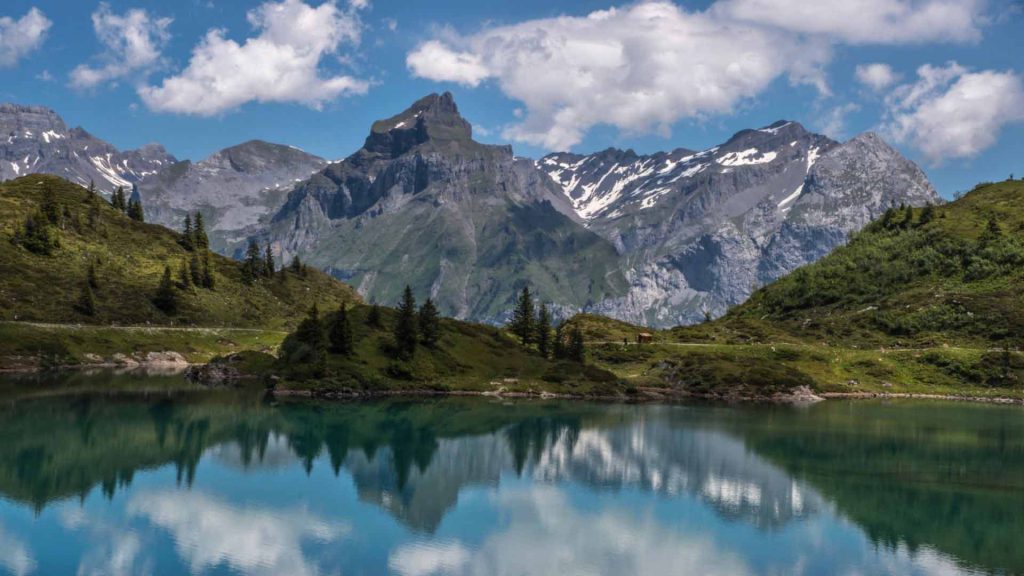 June 20 – Divine Measurement | Reformed Perspective