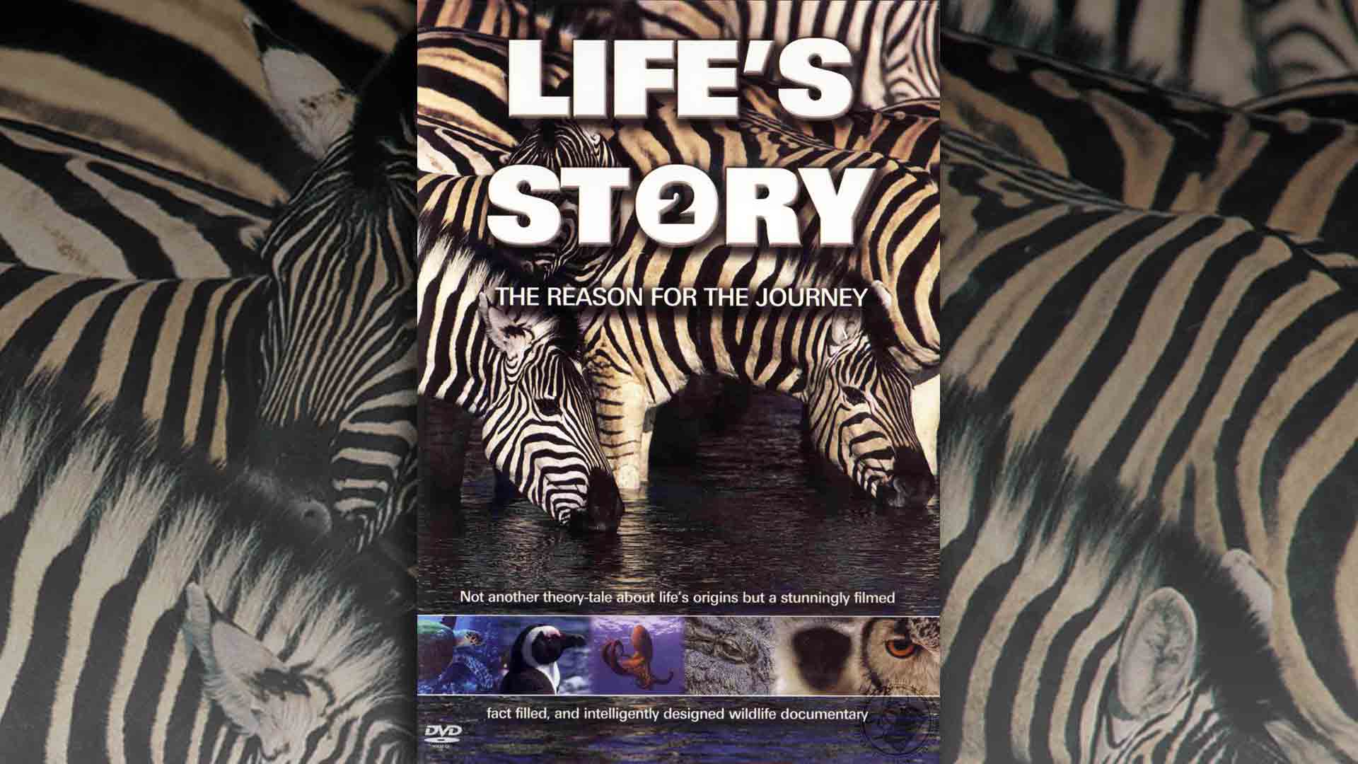 Life’s Story 2: the reason for the journey | Reformed Perspective Life’s Story 2: the reason for the journey | Reformed Perspective