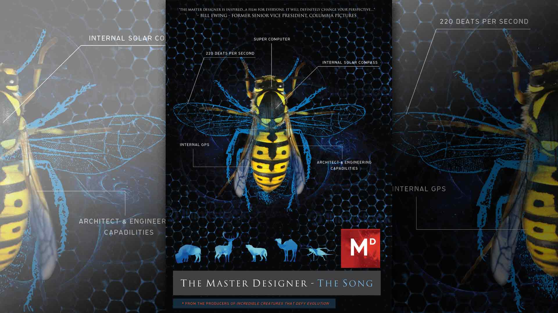 The Master Designer: The Song | Reformed Perspective