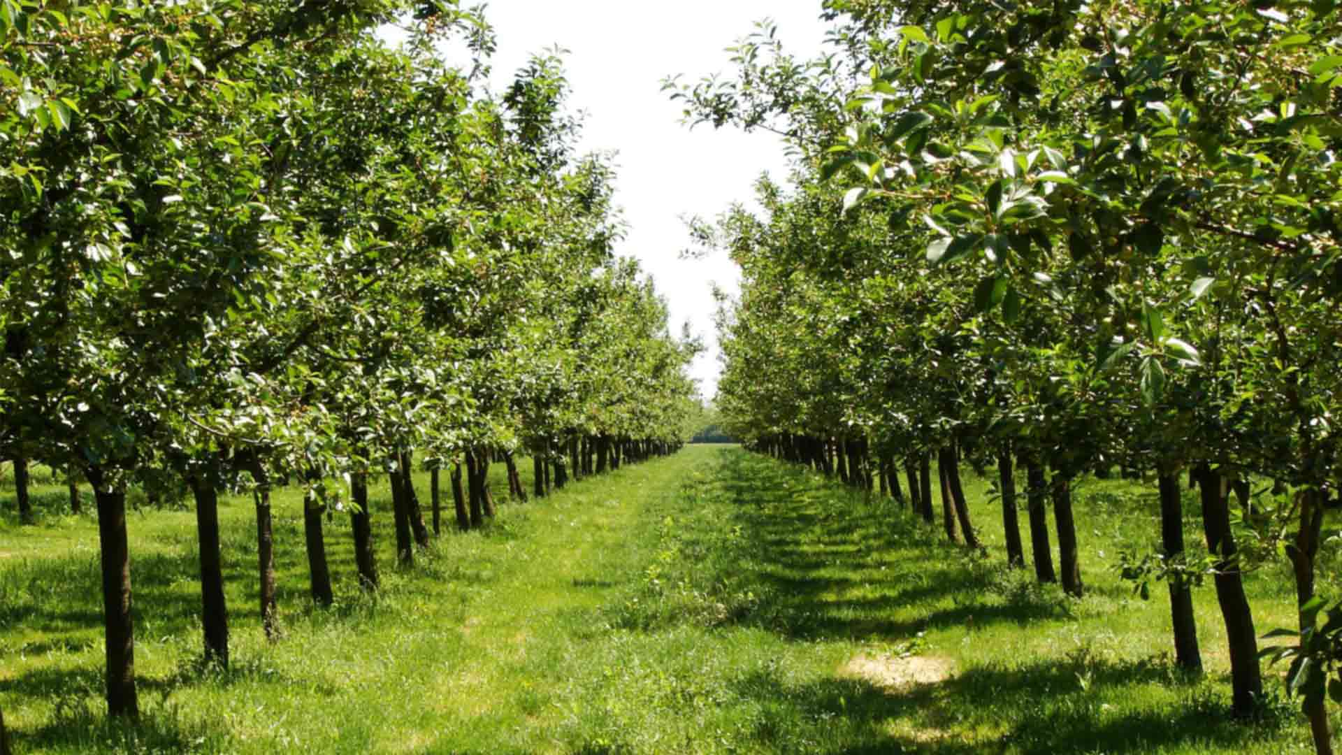 November 14 – Waterless clouds | Reformed Perspective