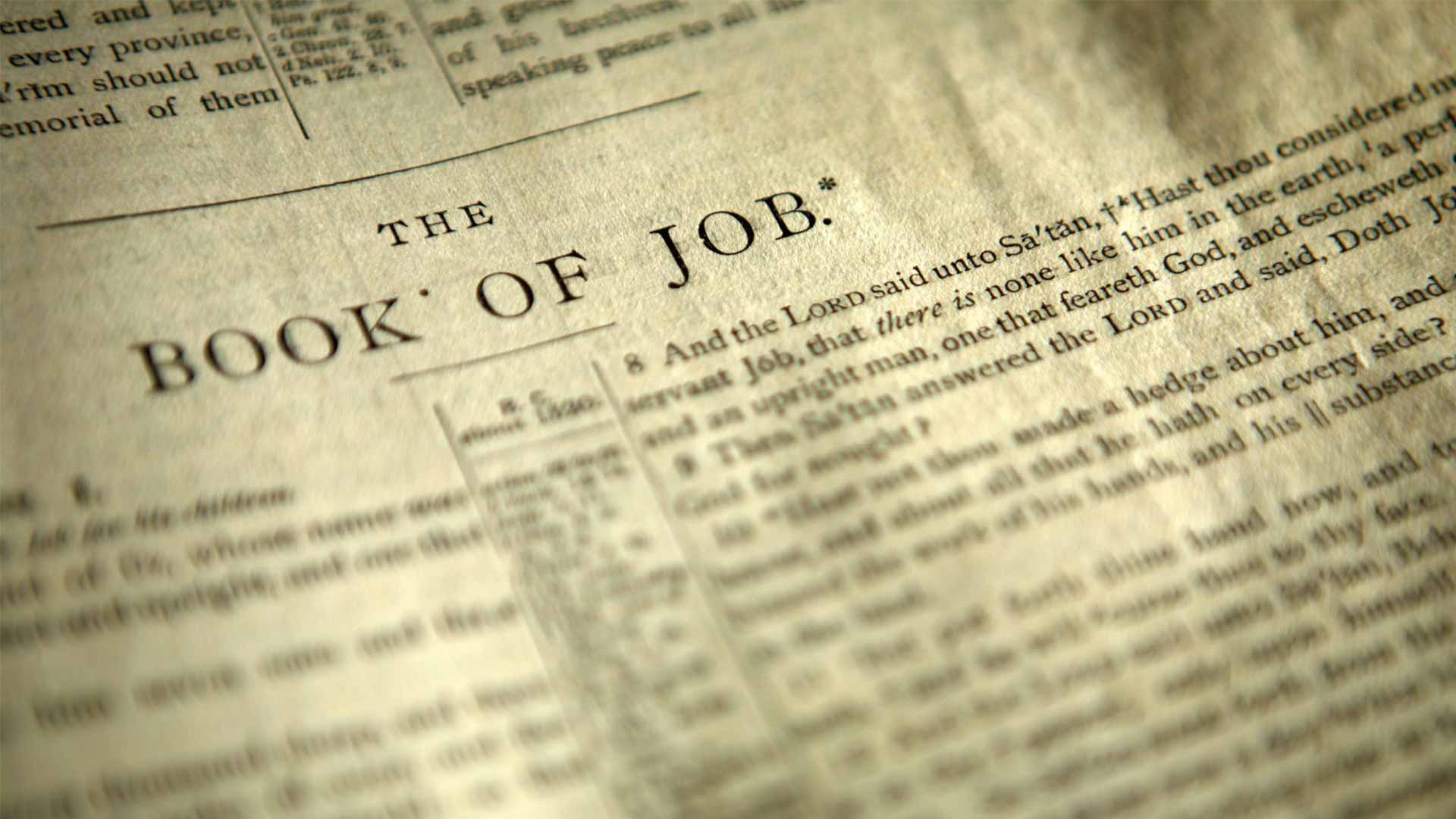 February 1 – Introduction to the book of Job | Reformed Perspective