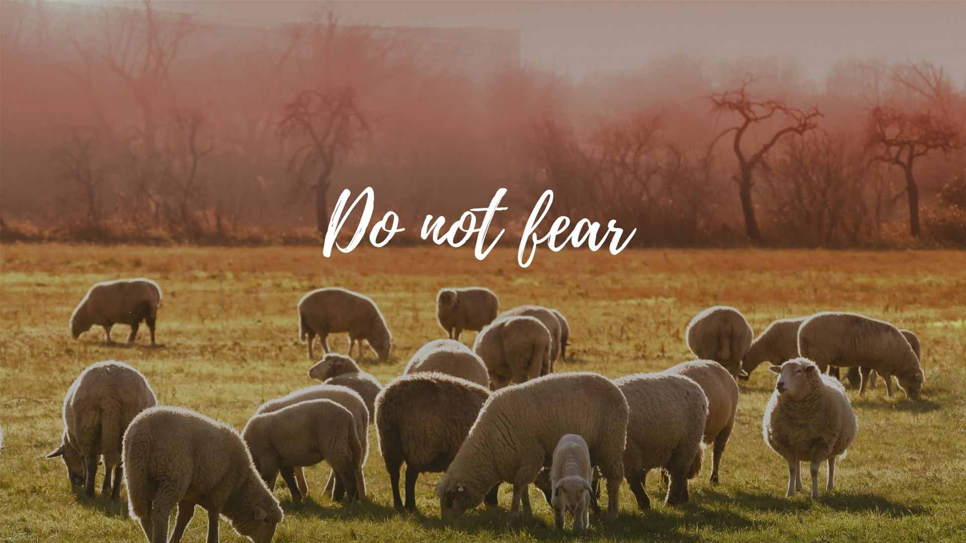 March 30 – Preparing without fear | Reformed Perspective