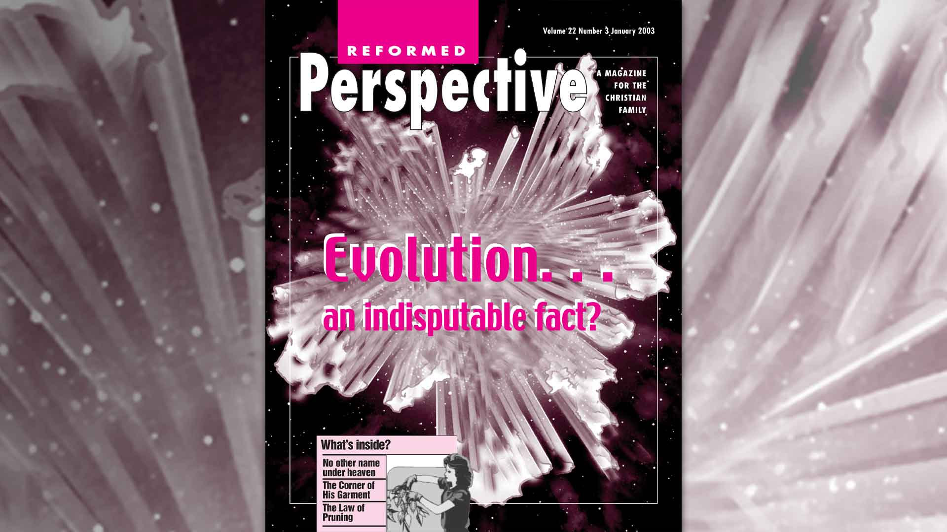 January 2003 issue | Reformed Perspective