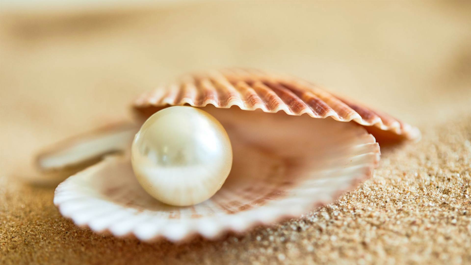 May 12 – Jesus, the pearl of great price | Reformed Perspective