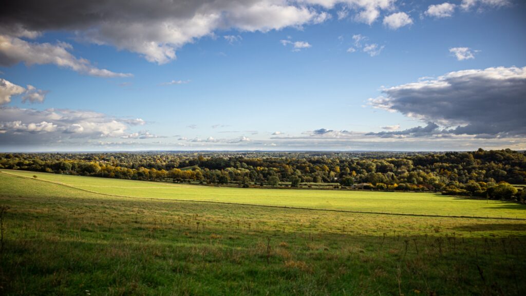 July 29 – The God of grace restores his children | Reformed Perspective