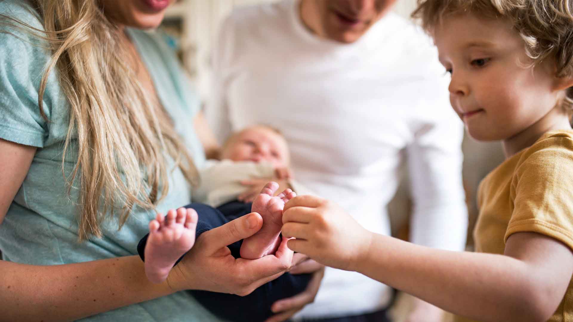 Preparing to inherit the earth | Reformed Perspective