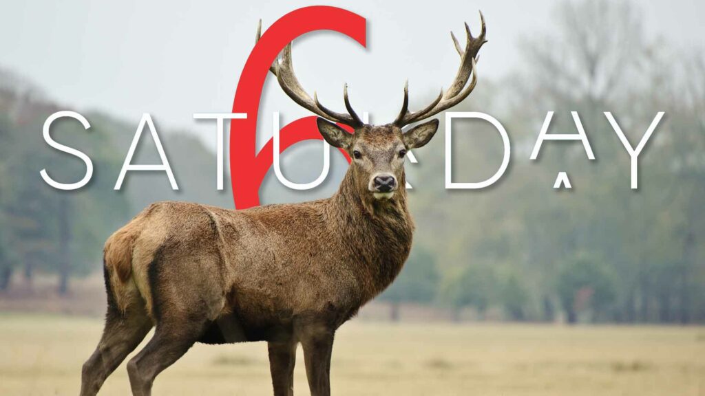 Saturday Selections – May 11, 2024 | Reformed Perspective