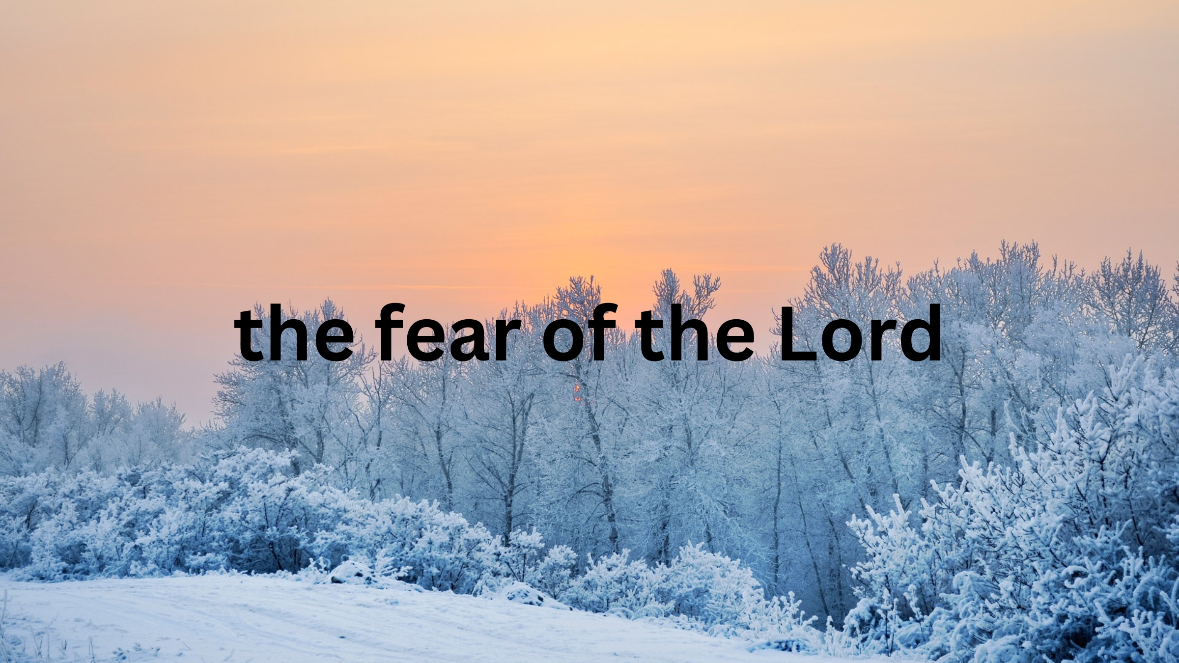 January 9 – Treasuring the fear of the Lord | Reformed Perspective