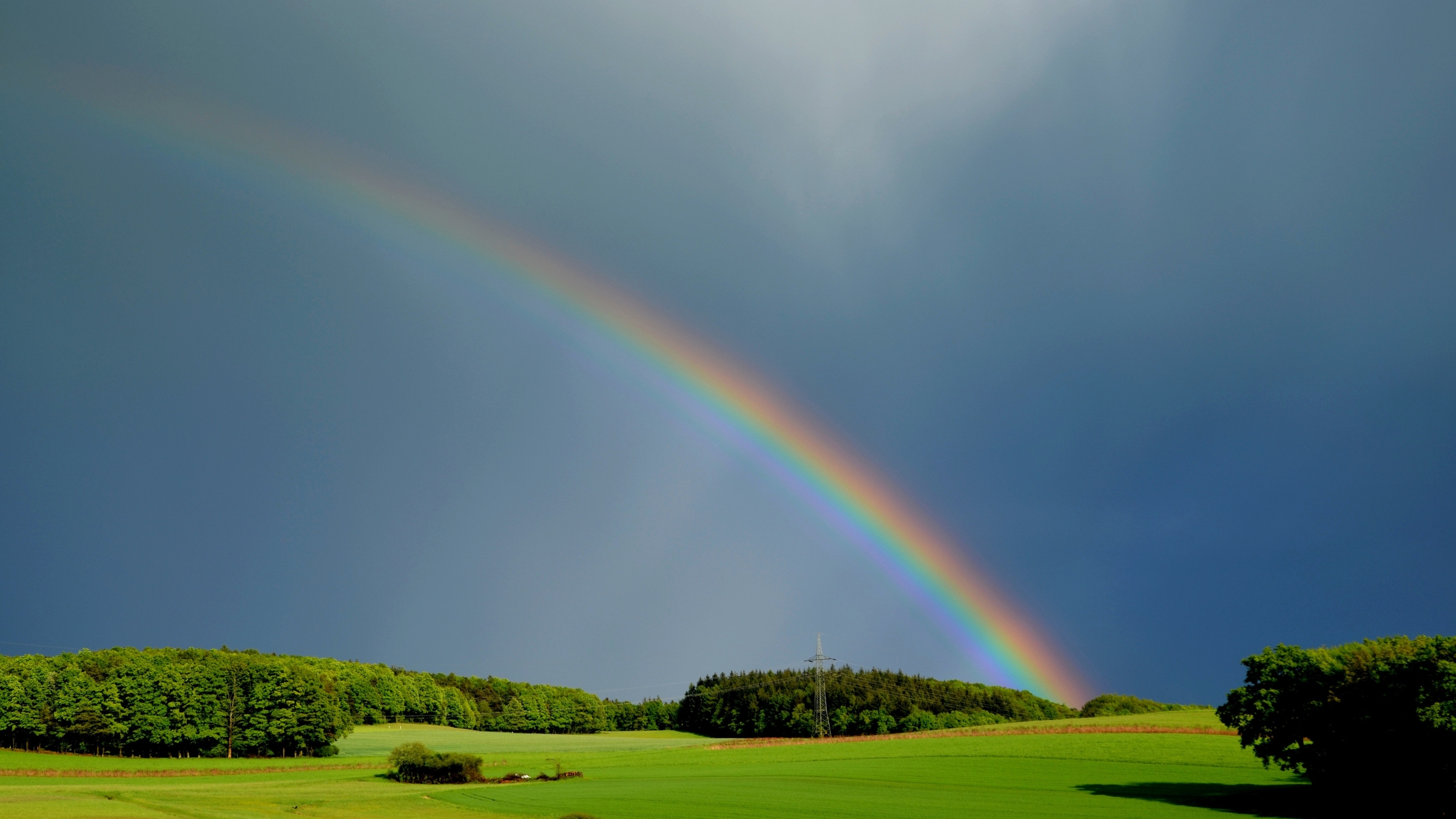 February 2 – A colourful sign of given grace | Reformed Perspective