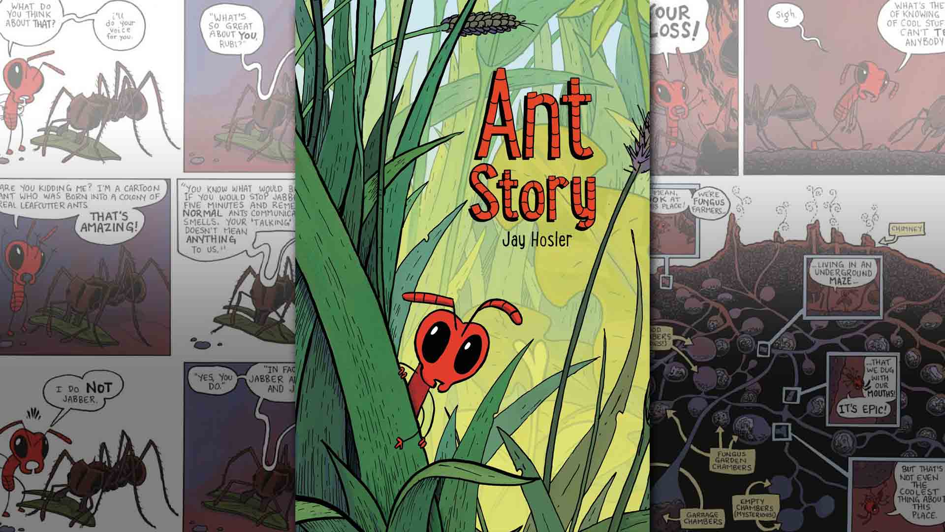 Ant Story | Reformed Perspective