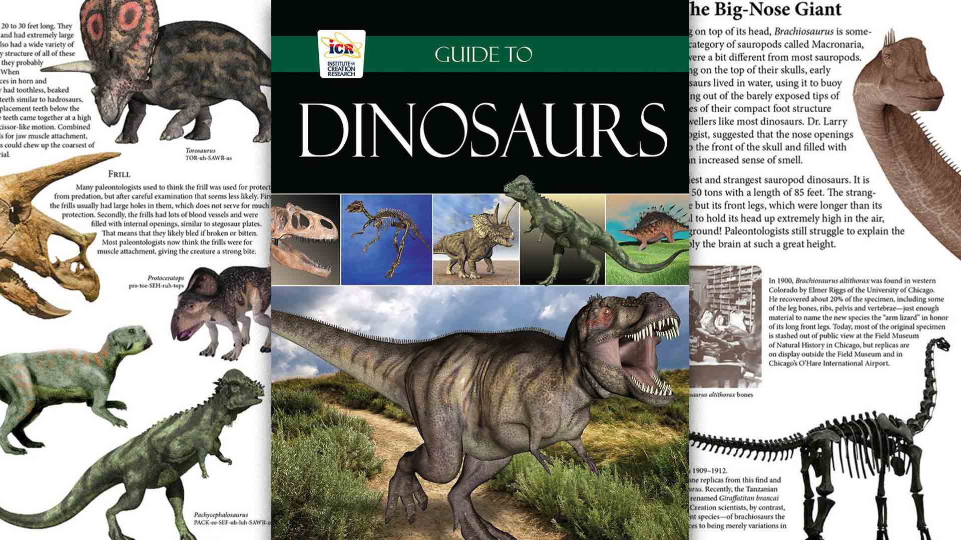 Guide to Dinosaurs | Reformed Perspective