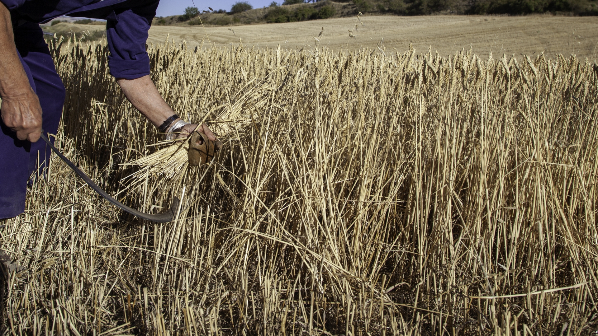 July 26 – Men of the ministry | Reformed Perspective