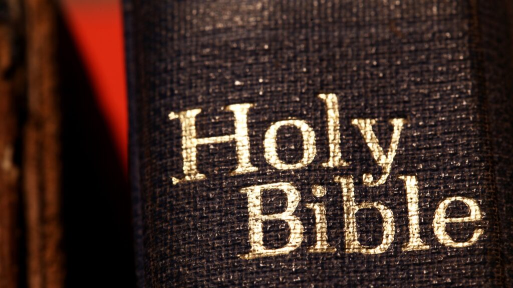 November 20 – The word of life (I) | Reformed Perspective