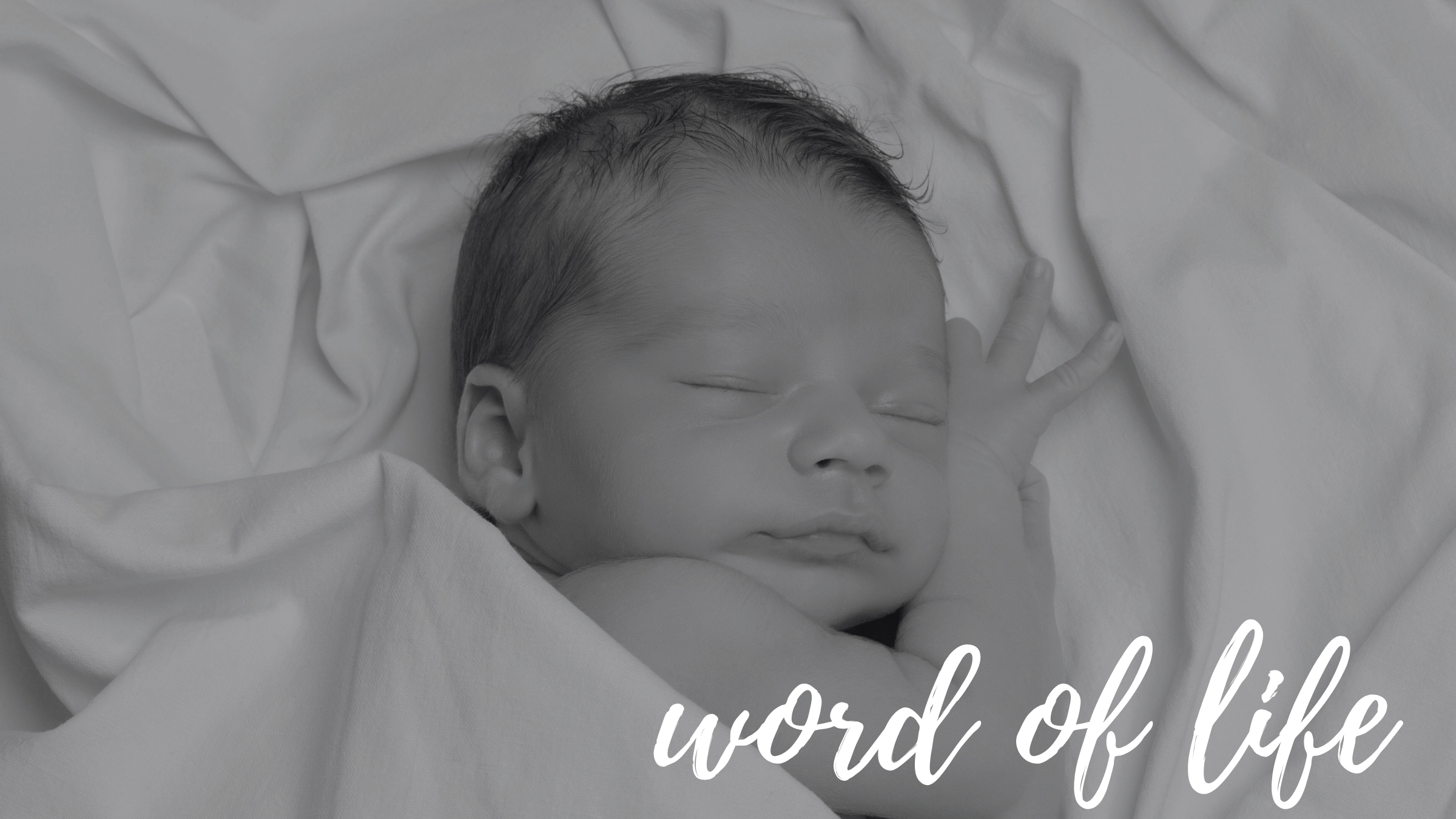 November 21 – The word of life (II) | Reformed Perspective