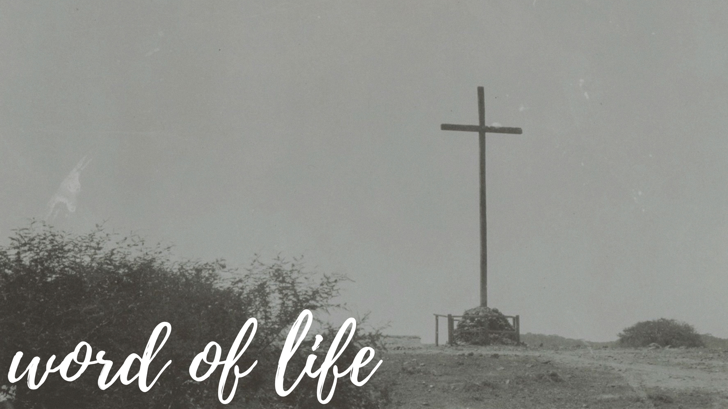 November 22 – The word of life (III) | Reformed Perspective