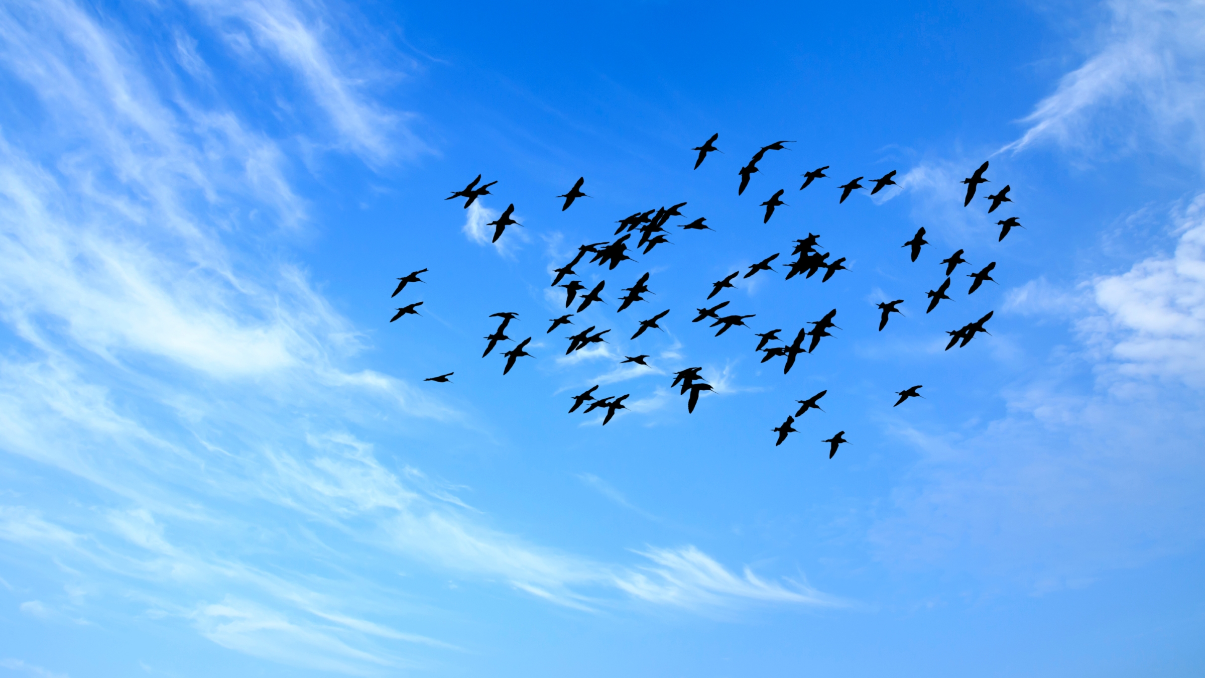 December 14 – The great feast | Reformed Perspective