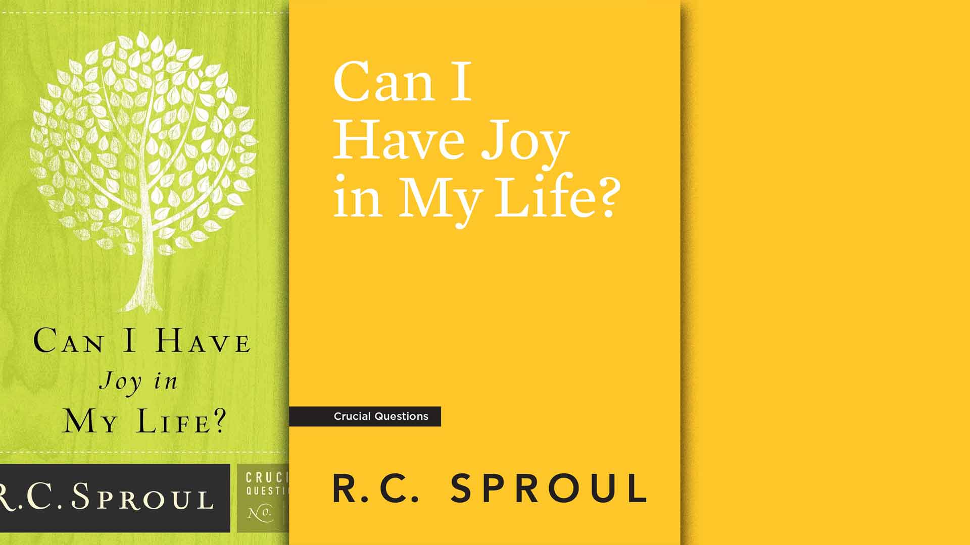 Can I have joy in my life? | Reformed Perspective