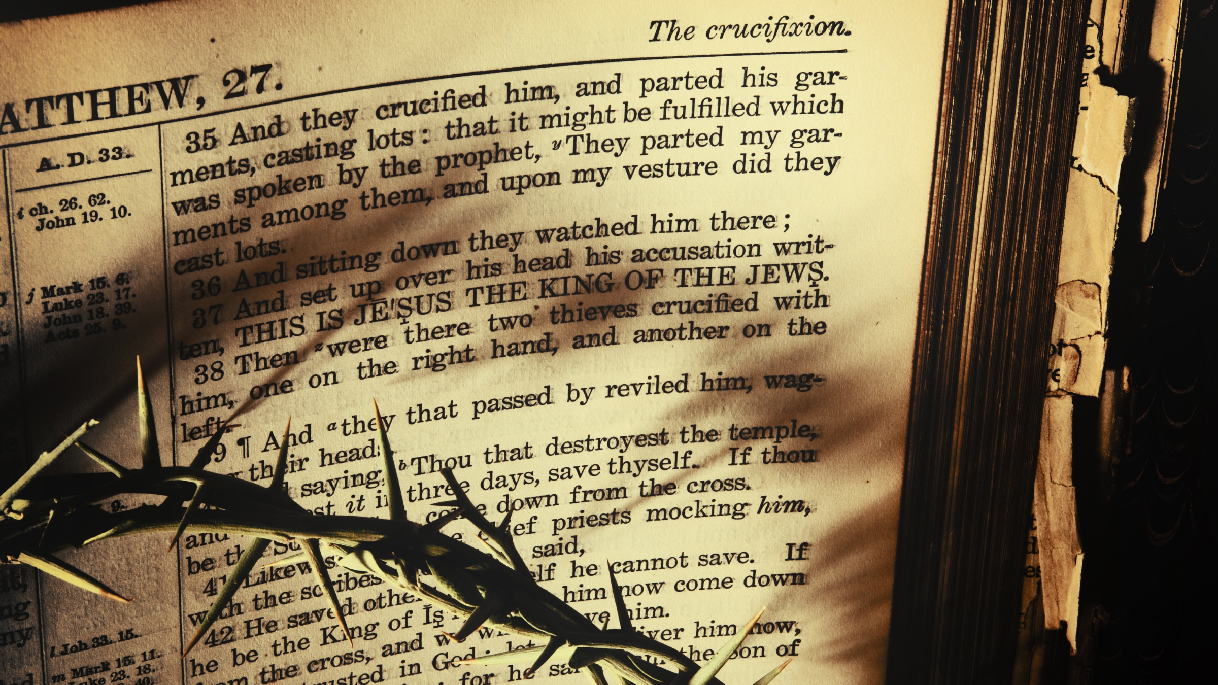 February 11 – The response of Esther | Reformed Perspective