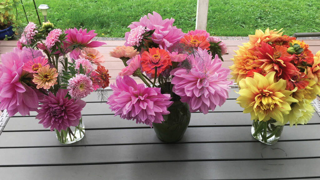 Life in bloom: The gift of flowers | Reformed Perspective