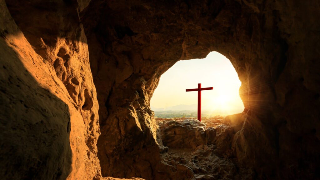 Reformed Perspective