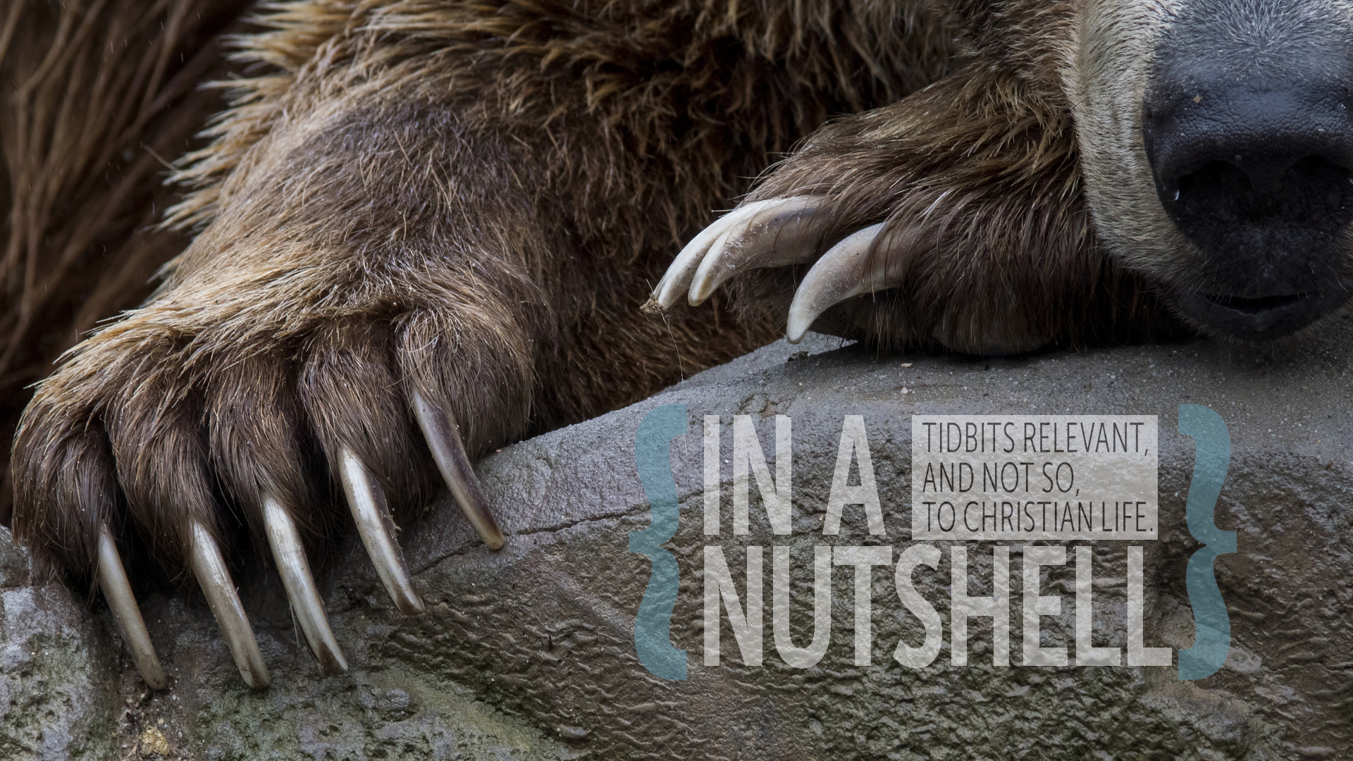 Tidbits – June 2025 | Reformed Perspective