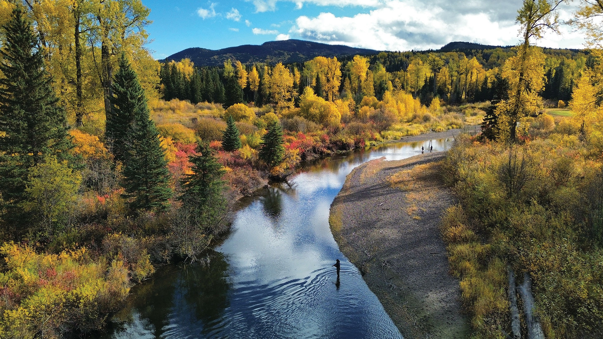 Creation stewards in a logging town | Reformed Perspective