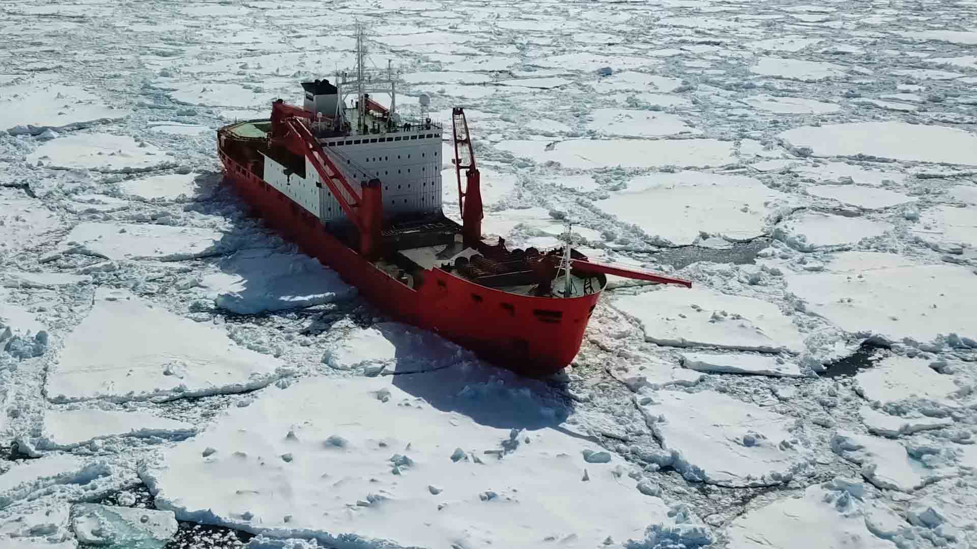 Arctic sea ice remains steady for past two decades | Reformed Perspective