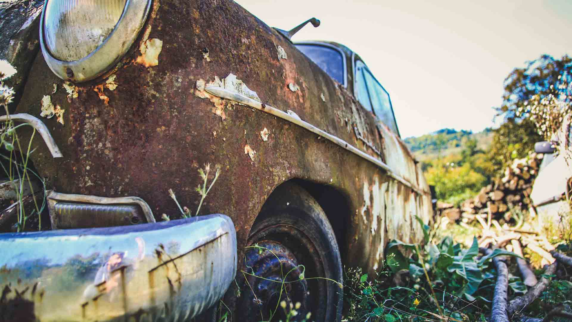 Moth and rust resolutions | Reformed Perspective